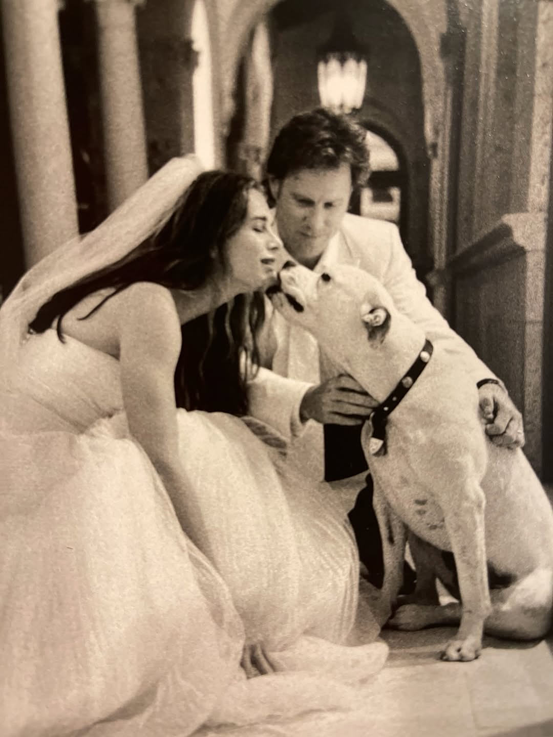 Brooke Shields-Chris Henchy: Πώς η εξαφάνιση ενός bulldog ήταν η αρχή ...