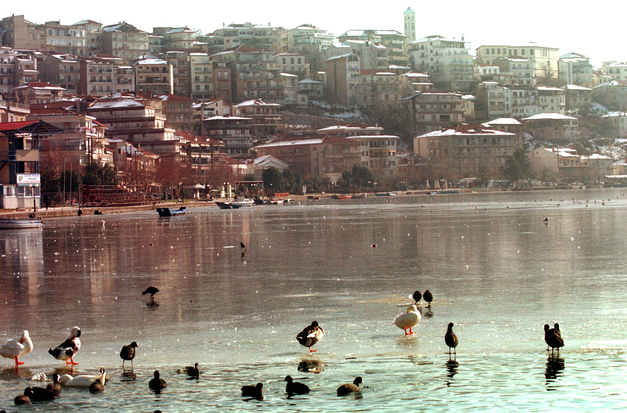 Αγρια δολοφονία 21χρονης φοιτήτριας στην Καστοριά - ΤΟ ΒΗΜΑ