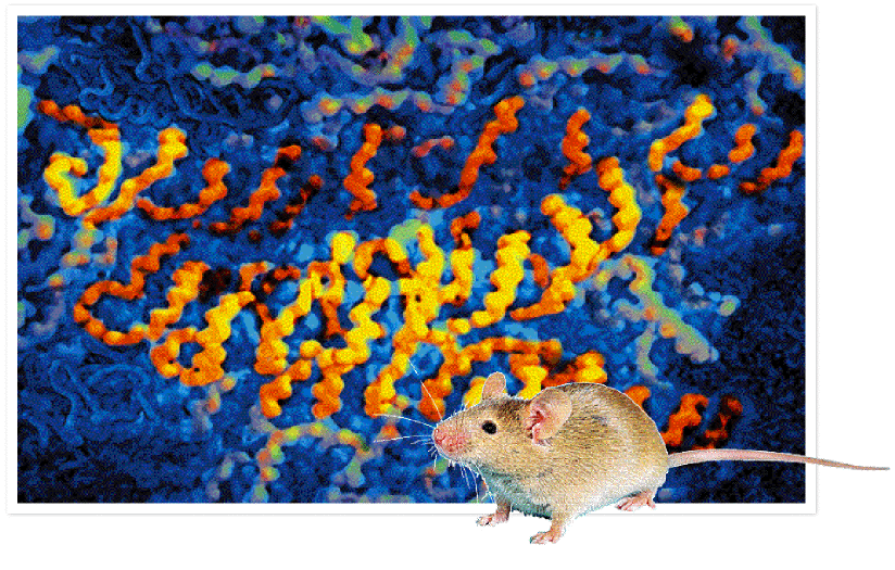 Το RNA αποφασίζει... - ΤΟ ΒΗΜΑ