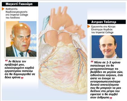 Δημιούργησαν καρδιακή βαλβίδα στο εργαστήριο - ΤΟ ΒΗΜΑ