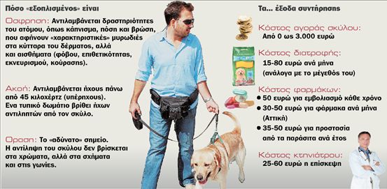 Ο καλύτερος φίλος μας, και με τη βούλα - ΤΟ ΒΗΜΑ