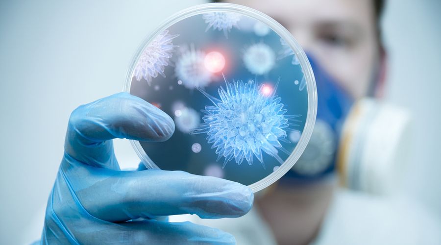 Ομηροι των υπερβακτηρίων - ΤΟ ΒΗΜΑ