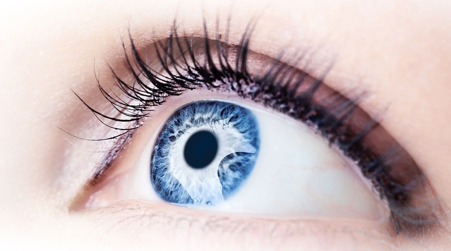 Βλαστίζουν τα... βλαστικά κύτταρα! - ΤΟ ΒΗΜΑ