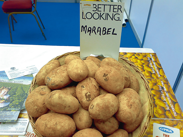 Μια πατάτα για όλες τις δουλειές; - Ειδήσεις - νέα - Το Βήμα Online