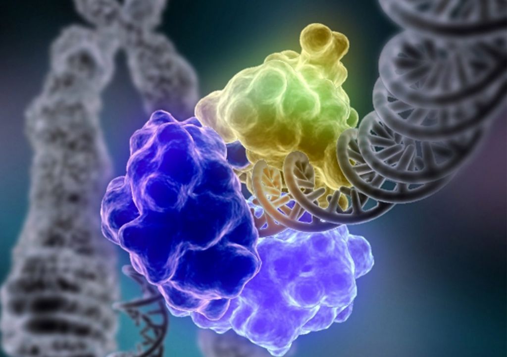 Χιλιάδες μεταλλάξεις ενζύμων «στο μικροσκόπιο» ενός τσιπ - ΤΟ ΒΗΜΑ