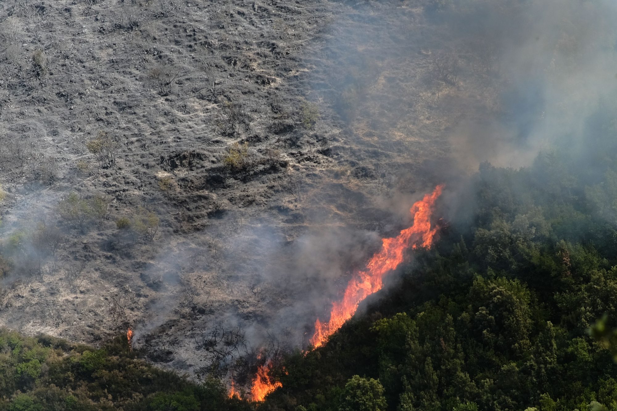Φωτιά και στα Ιωάννινα: Σε εξέλιξη οι πυρκαγιές σε Τραπεζίτσα και ...