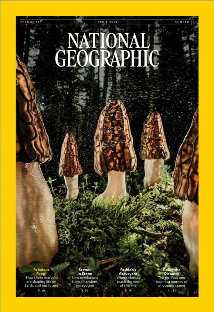Από τα Γρεβενά στο National Geographic: O Αγοραστός Παπατσάνης στο Βήμα ...