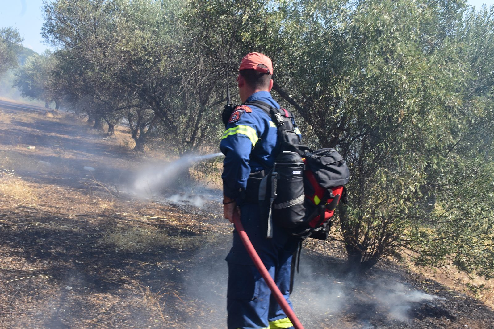 Φωτιά τώρα στα Μέγαρα - Επιχειρούν και εναέρια μέσα - ΤΟ ΒΗΜΑ